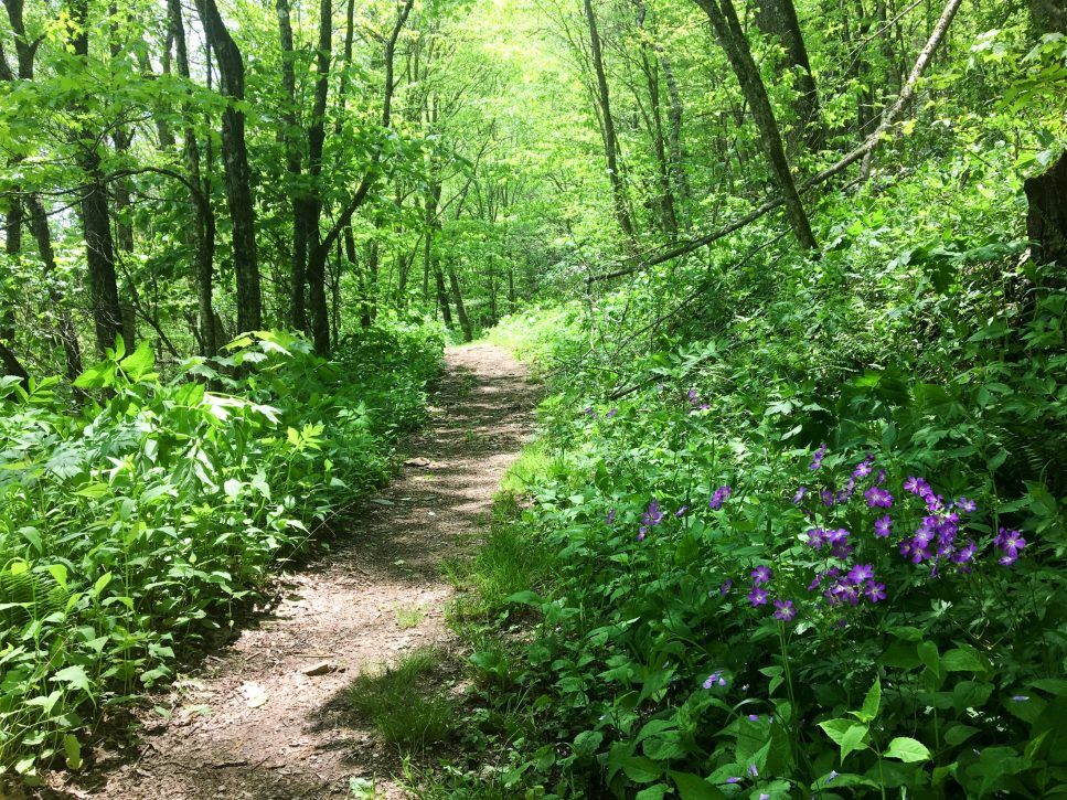 Attractions - Discover Jackson NC